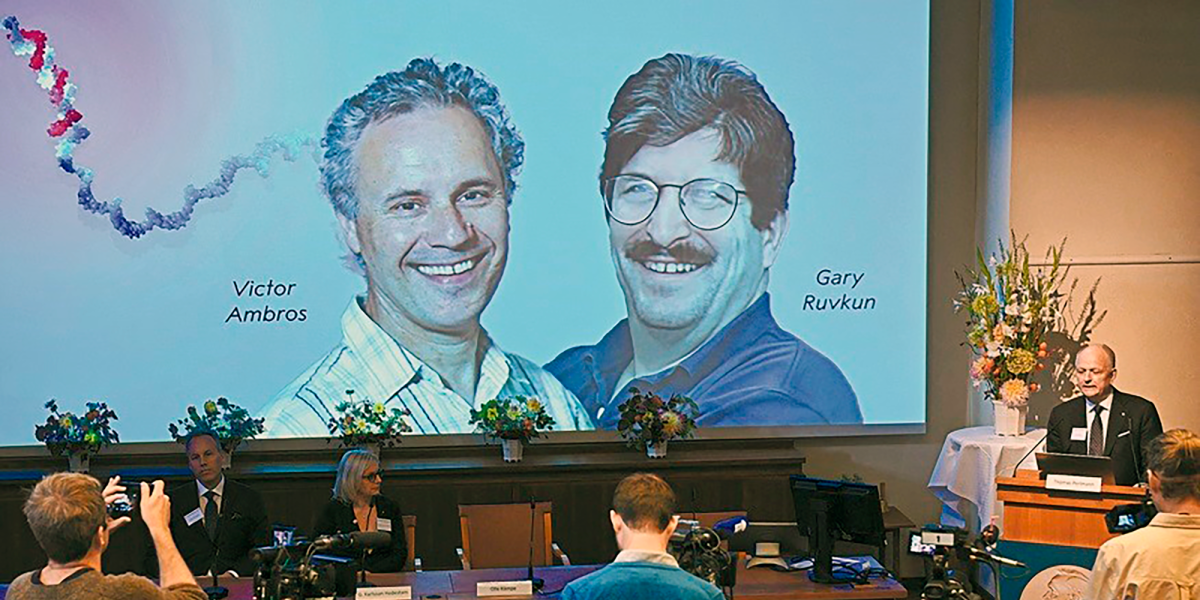 Nobel premia ciencia básica del microAR que revolucionó el dogma de la ...