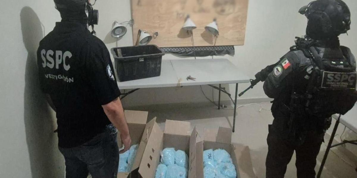 Harfuch anuncia decomiso de 270 kilos de fentanilo y captura de líder ...