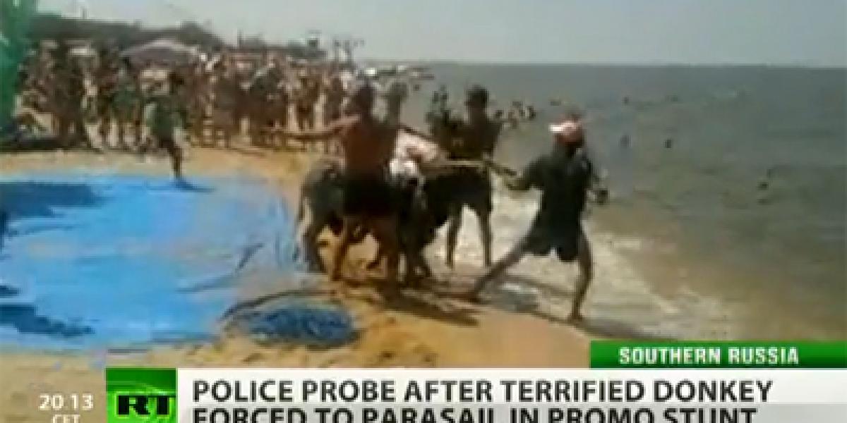 Burro volador desata controversia en Rusia