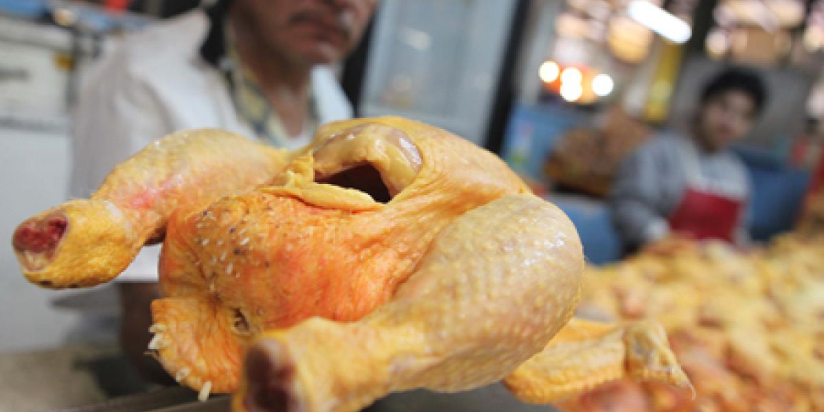 Importación de pollo no impacta precios