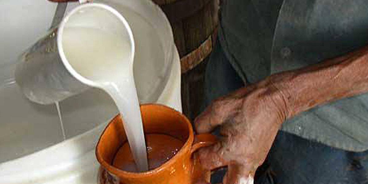 Pulque, mezcal y cerveza artesanal: entre la tradición y los desafíos ...