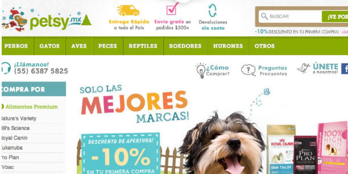E-commerce y Petsy en México