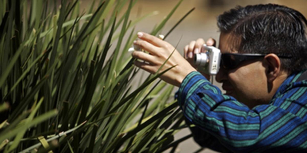 Impulsan inclusión de las personas débiles visuales