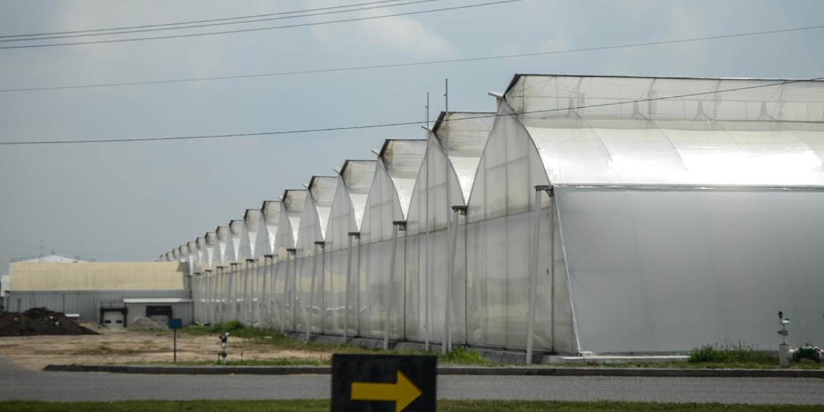 Agropark alista 13 hectáreas más en Querétaro