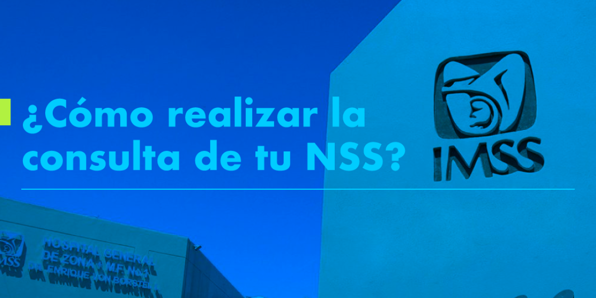cómo realizar la consulta del nns
