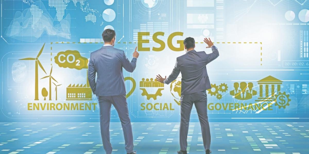 Los riesgos ASG (Ambientales, Sociales y de Gobierno)
