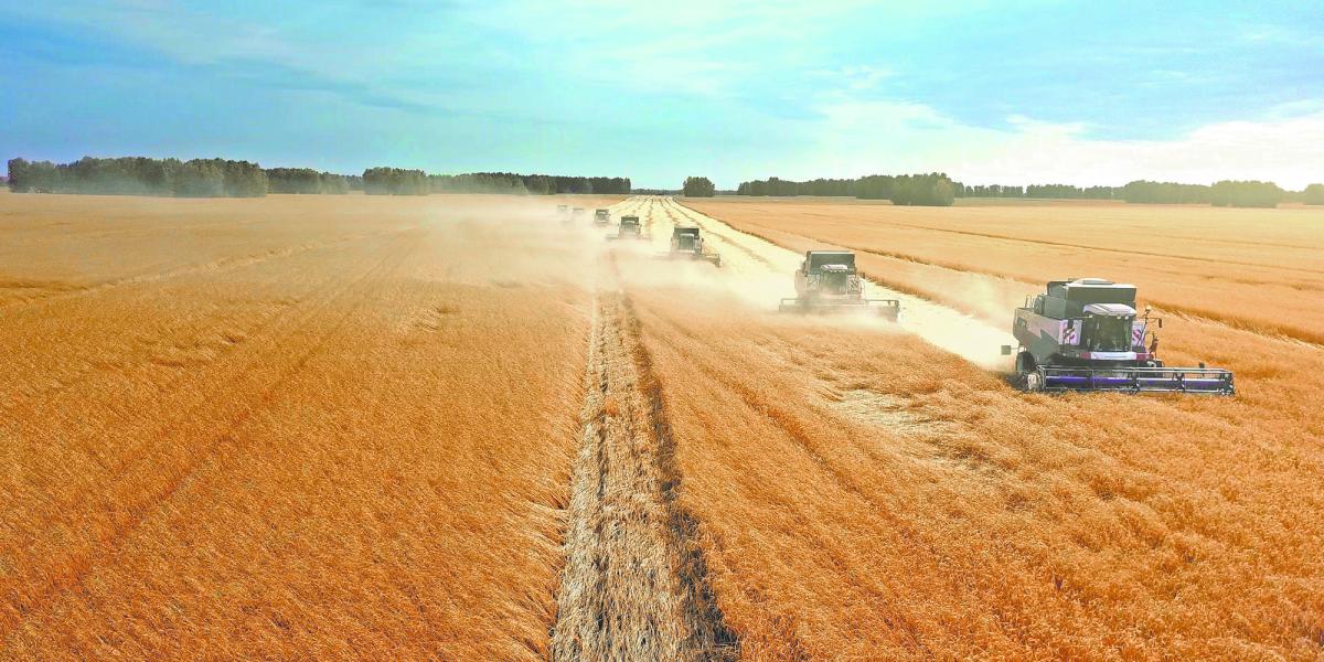 Dependencia en granos achica superávit comercial agroalimentario