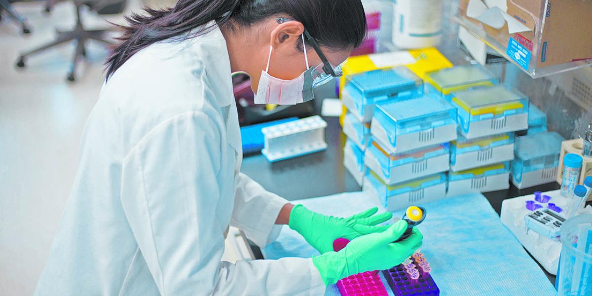 AMIIF nombra a Jorge Luis Caridad como presidente para el periodo 2025–2026