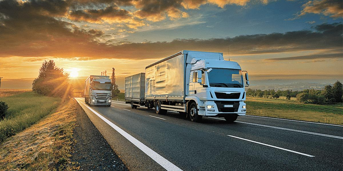 Cuidar el medio ambiente es el objetivo de Move for Good