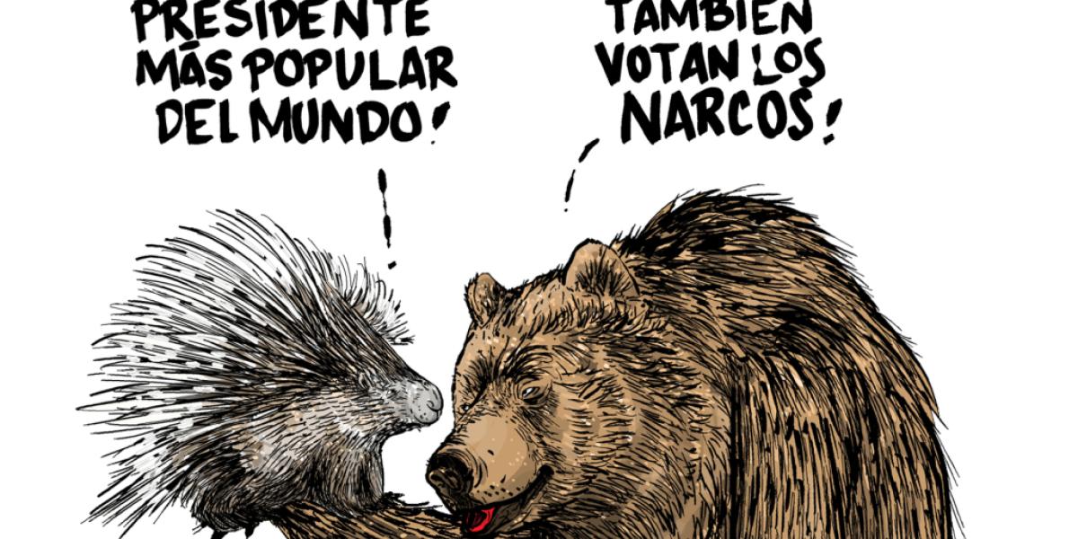 El oso y el puerco espín