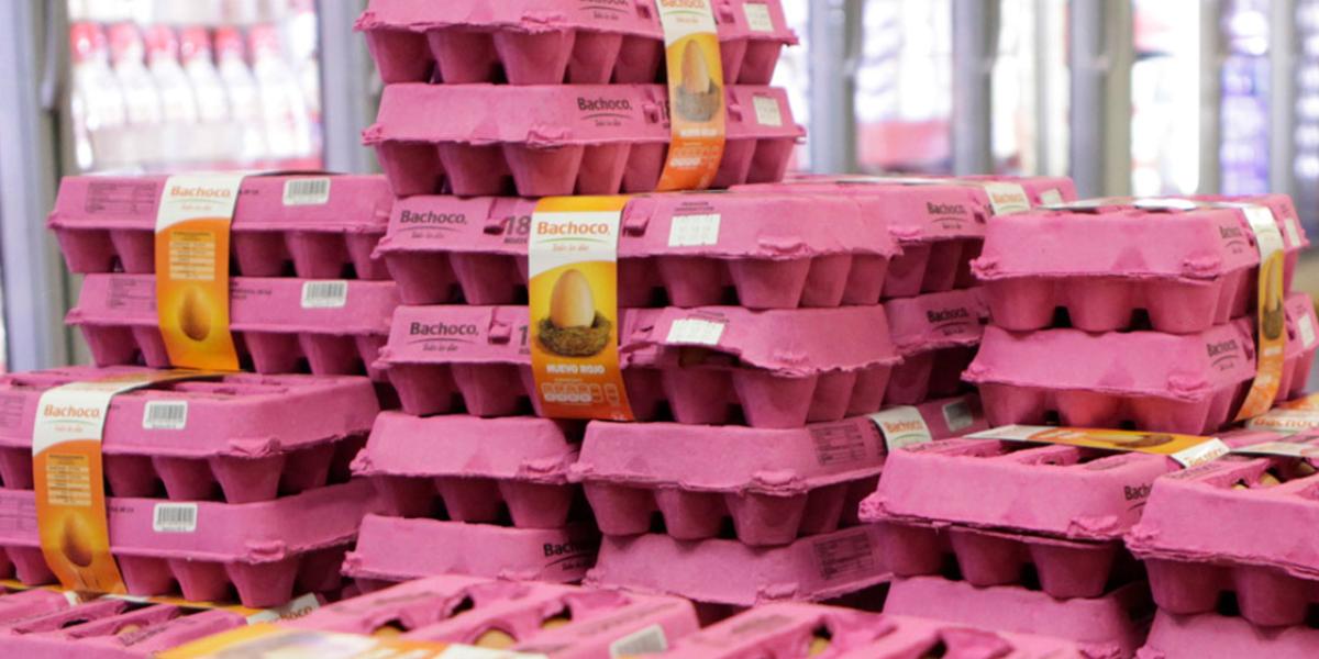 Bachoco finaliza compra de Norson, el productor de carne de cerdo, por ...