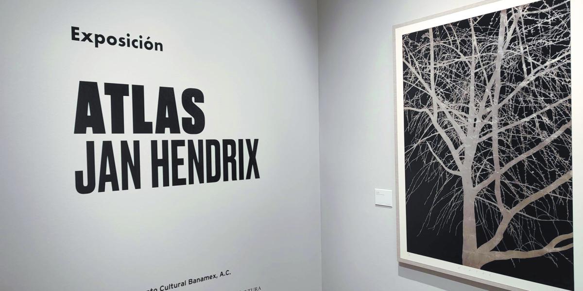 Jan Hendrix: la naturaleza transformada en arte