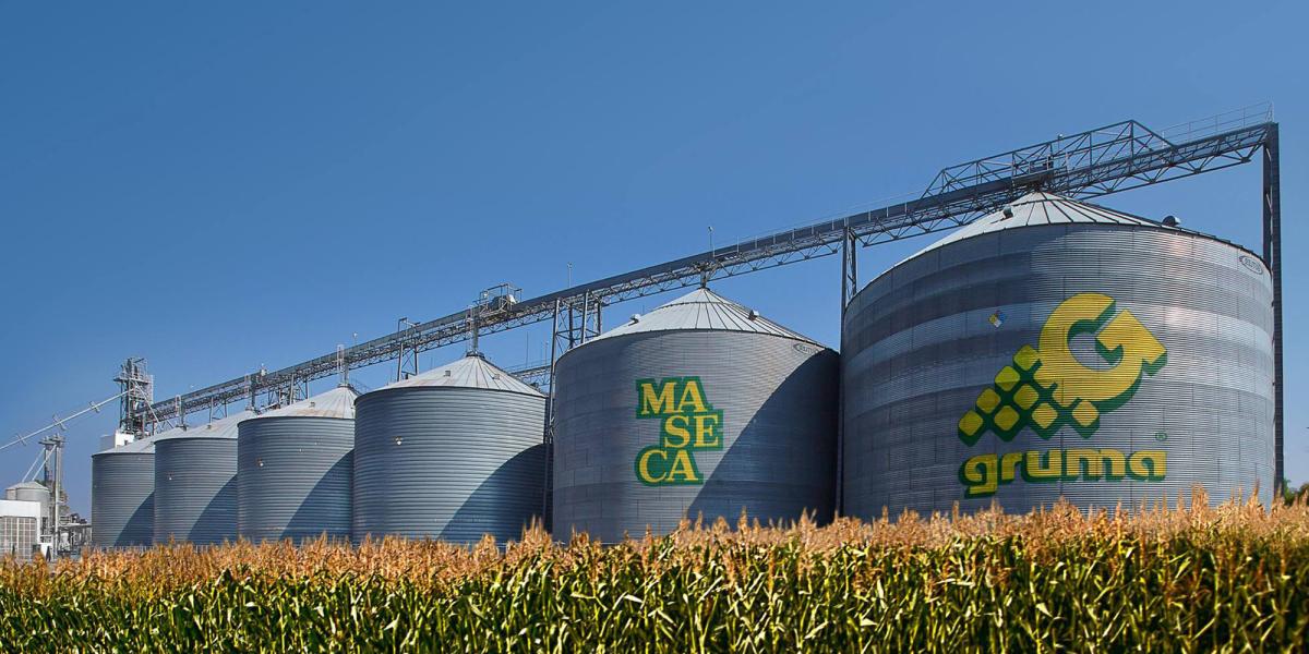 Gruma aumenta sus ingresos 4% en el I Trimestre de 2024