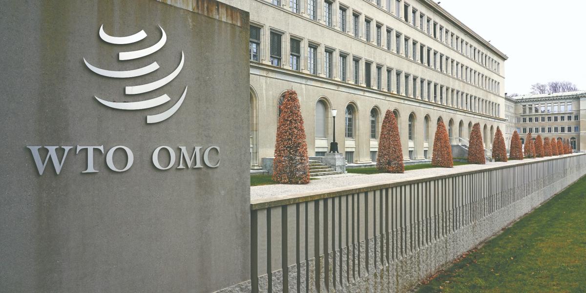 La OMC impulsa nuevos acuerdos multilaterales