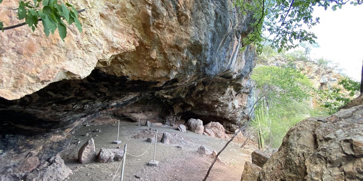 La Cueva de las Manitas testimonia el origen de la agricultura en ...