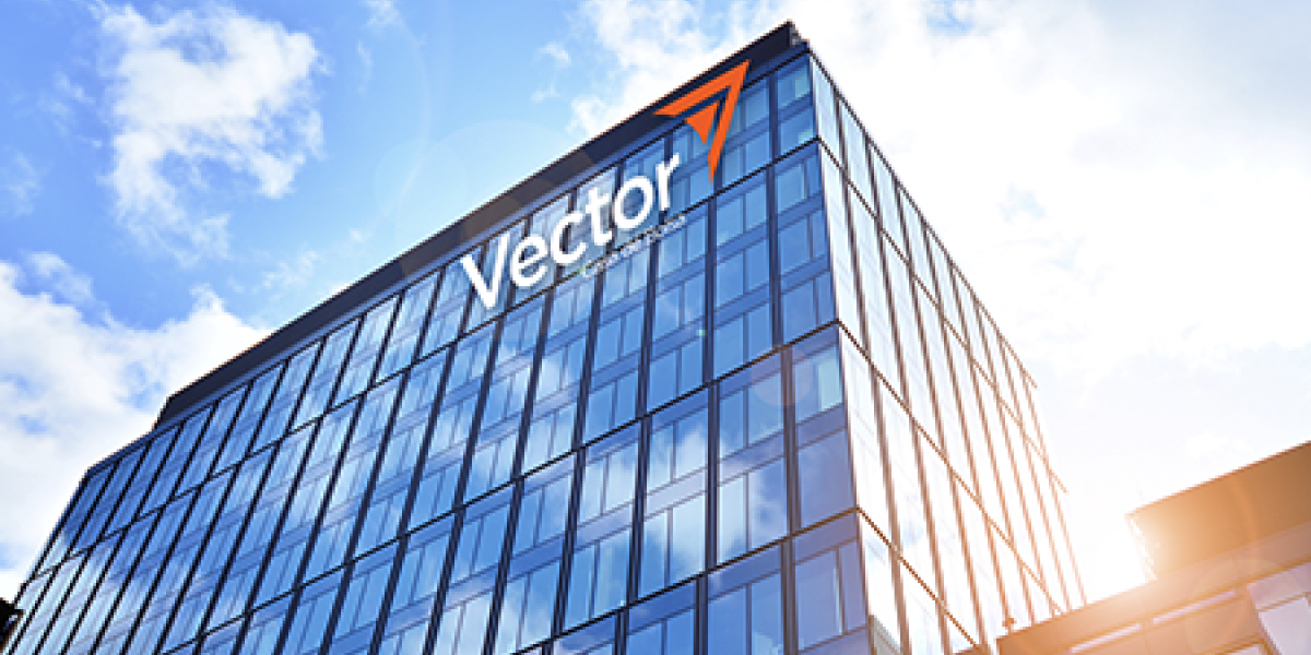 Recursos de clientes de Vector casa de bolsa están en el Indeval