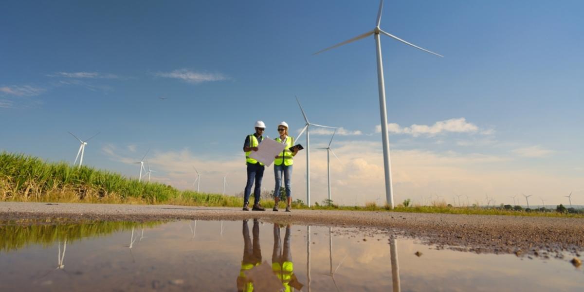 Empleos verdes crecerán para 2030, ¿qué competencias laborales se ...