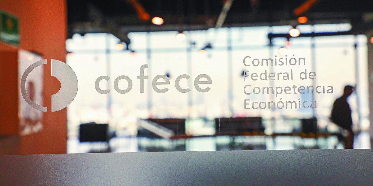 Cofece no ajustará dictamen sobre líneas de autobuses