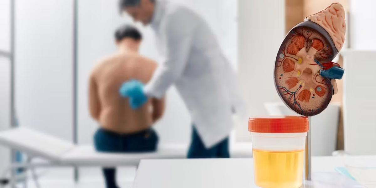 Guía para entender y contratar un seguro de gastos médicos mayores