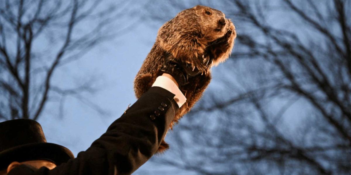 Día de la Marmota: ¿Por qué es importante para EU la tradición de ...