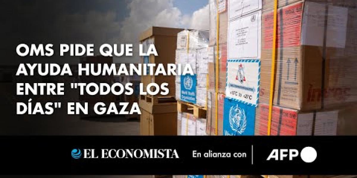 OMS pide que la ayuda humanitaria entre "todos los días" en Gaza