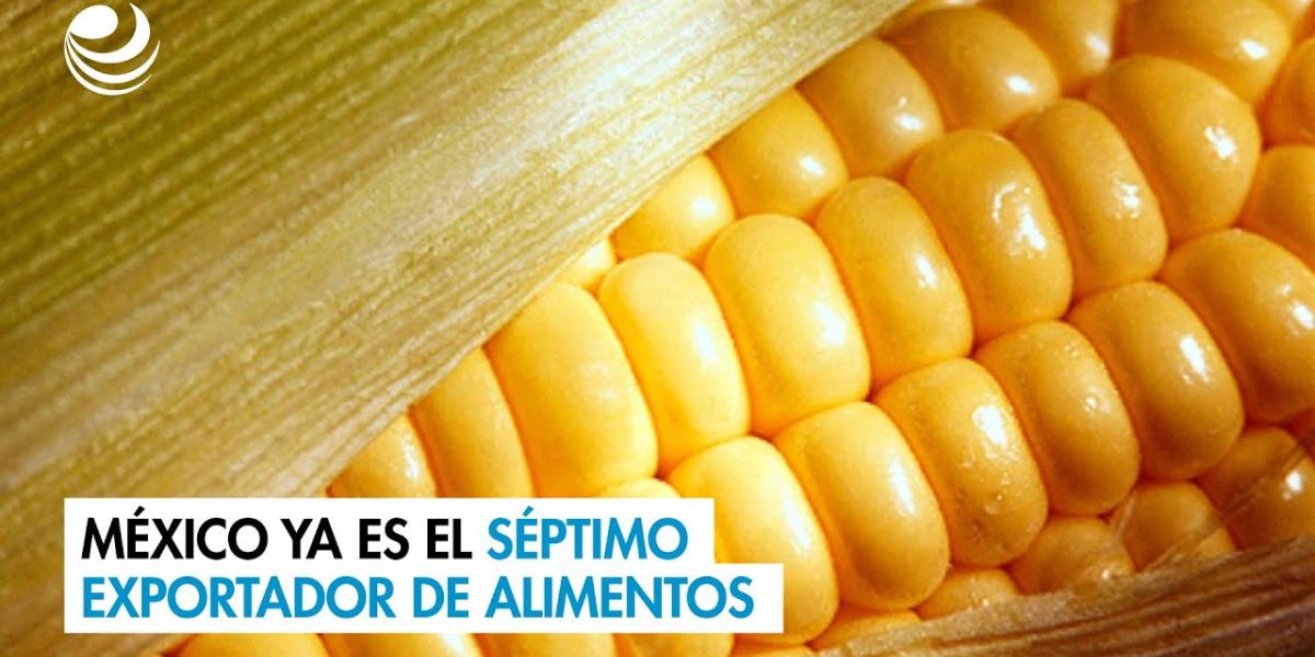 México ya es el séptimo exportador de alimentos