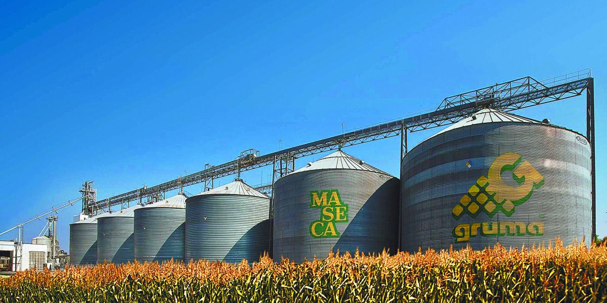 Gruma pierde casi 10,000 millones de pesos de su valor en Bolsa en un día