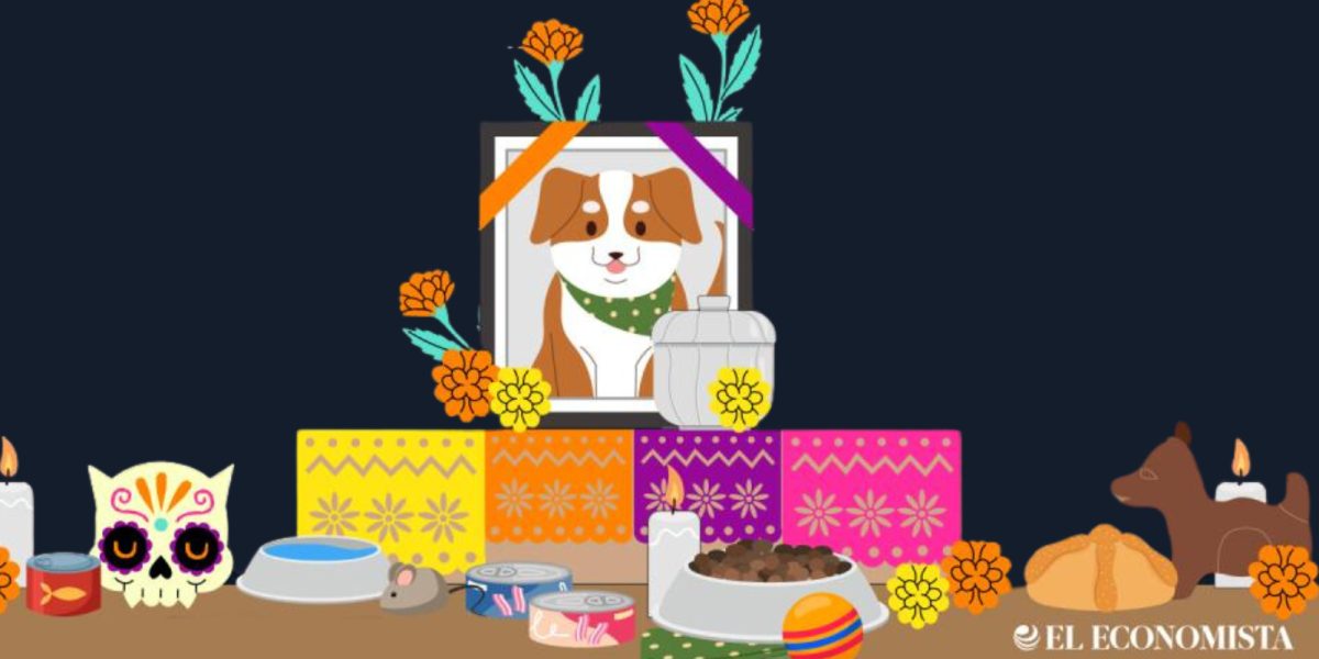 Ofrenda para mascotas en Día de Muertos: Significado y cómo hacerla