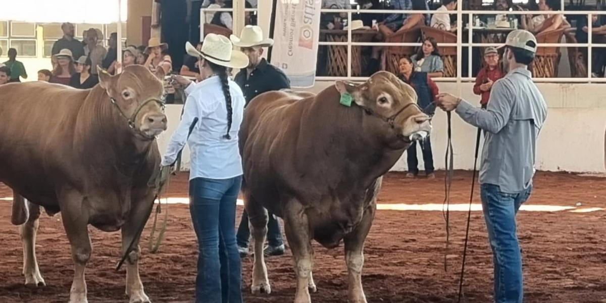 Con feria regional, Zapotlanejo busca refrendar vocación ganadera
