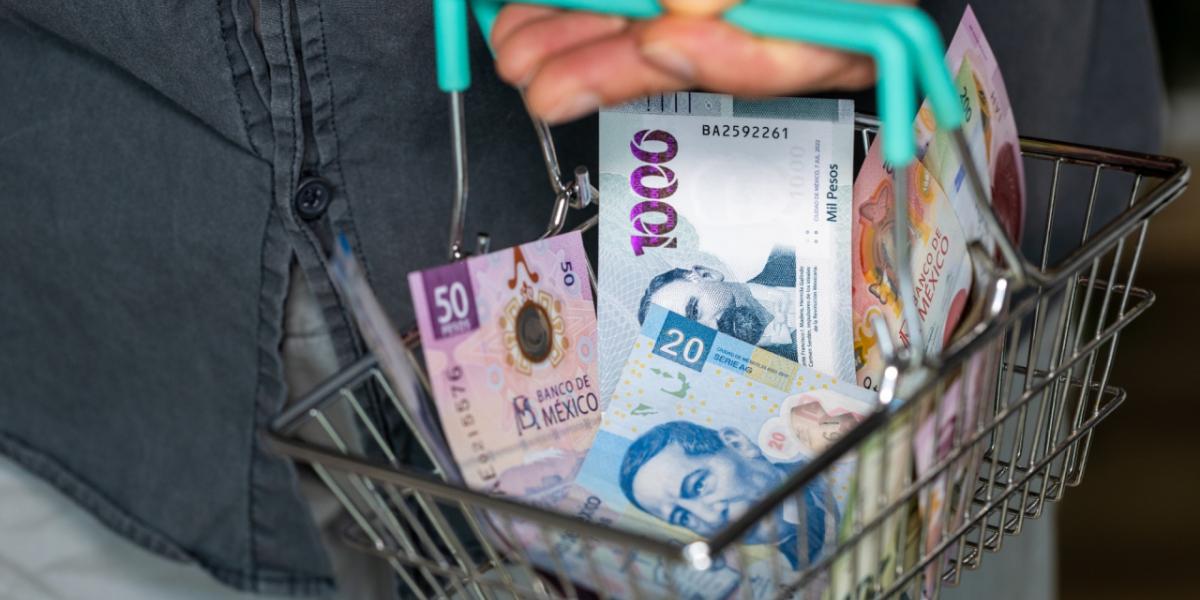 Conasami presenta propuesta para actualizar los salarios mínimos ...