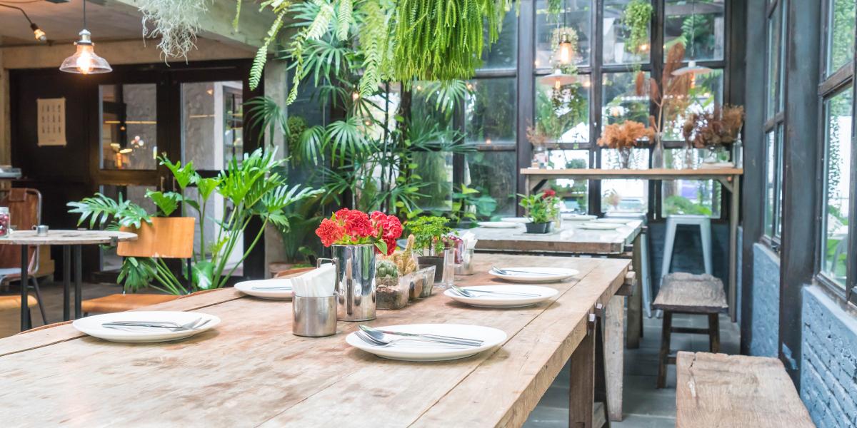 Gentrificación en la CDMX: ¿puede un restaurante cambiar el alma de una ...