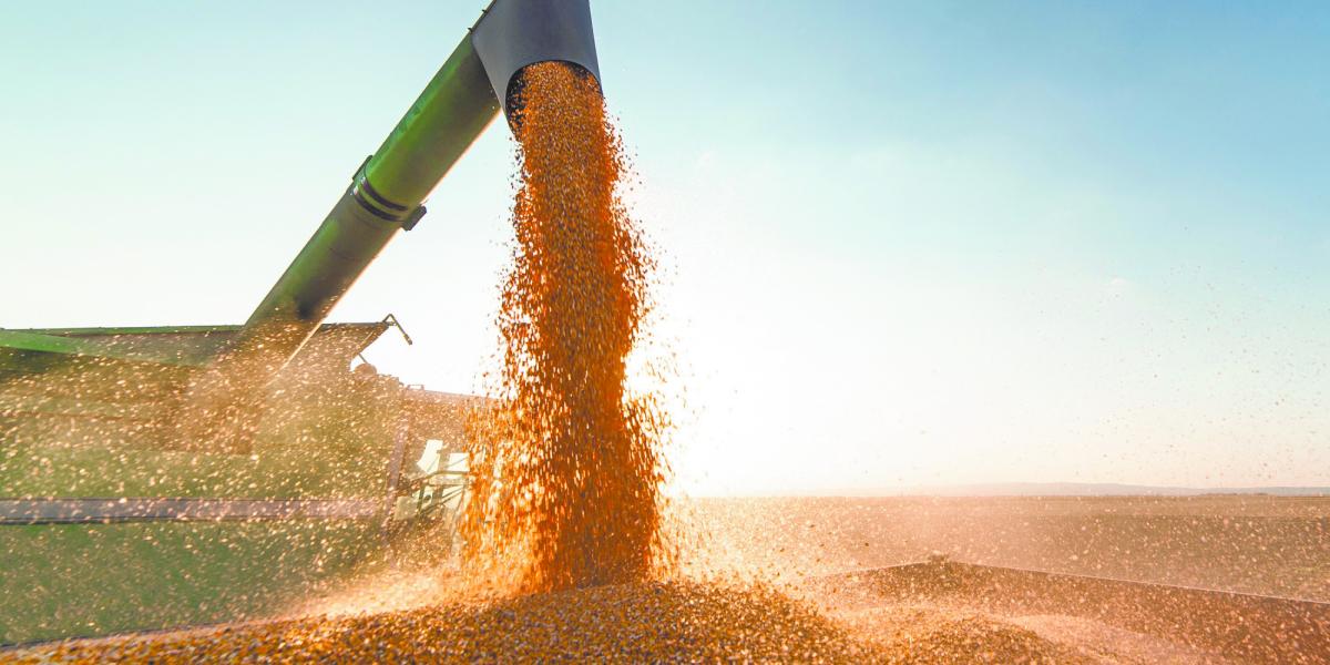 Soya, trigo y maíz, subieron en la Bolsa de Comercio de Chicago