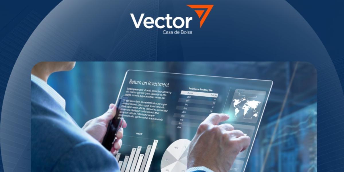 Vector, Finamex y Value, las de más baja capitalización