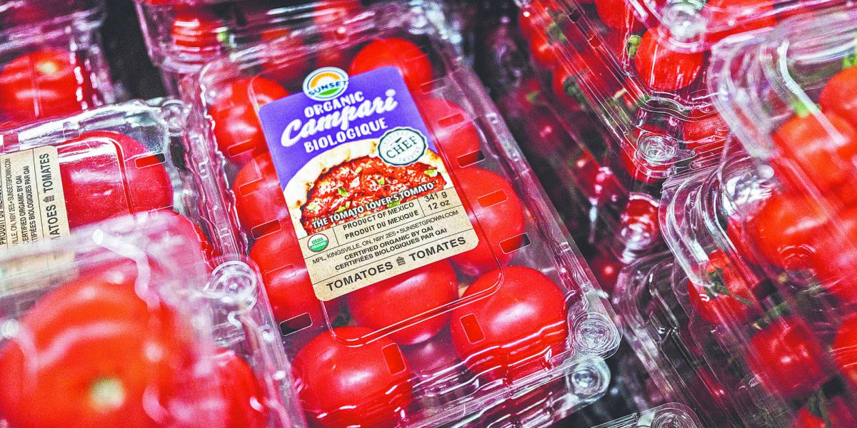 Arancel causaría pérdida de competitividad en productoras de tomate ...