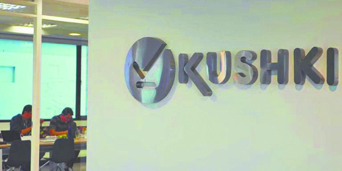 México se consolida como el principal mercado de Kushki; ganancias ...
