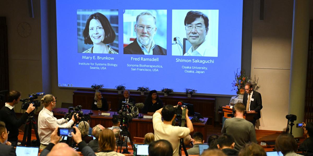 Los científicos Mary Brunkow, Fred Ramsdell y Shimon Sakaguchi ganan el Nobel de Medicina 2025