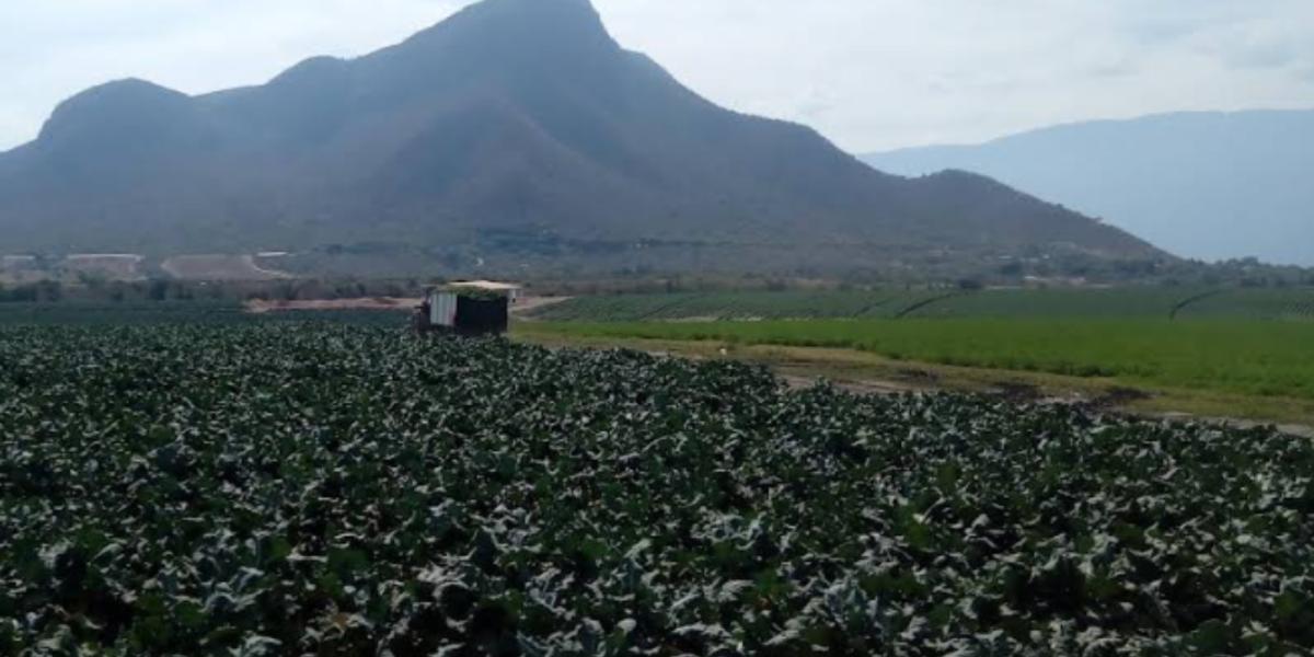 Access Business Group pierde reclamo de 2,700 millones de dólares ...