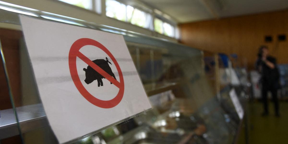 España detecta dos jabalíes con peste porcina fuera de la zona de alto ...