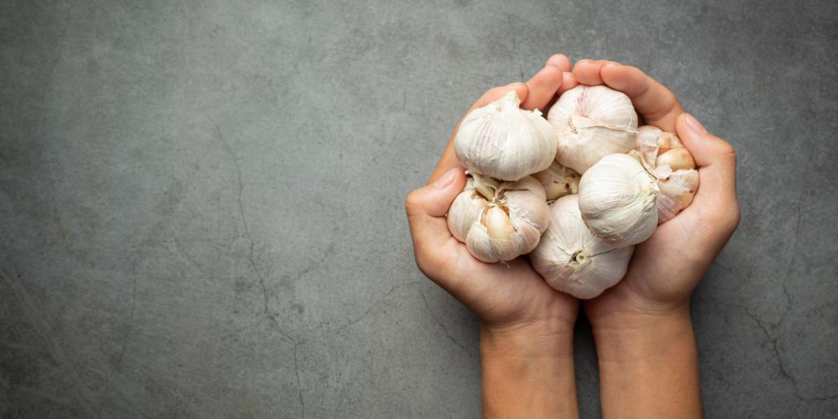 Ajo en México, de 68 a 75 pesos por kilo en 2025: Lo que revela sobre ...
