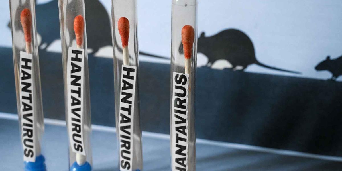 Hantavirus es de riesgo mínimo para la población, reitera la OMS