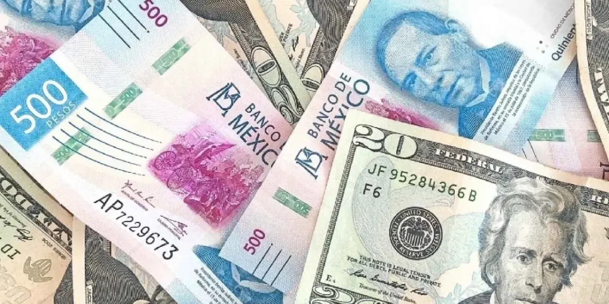 Peso mexicano comienza junio con moderada caída ante el dólar; espera ...