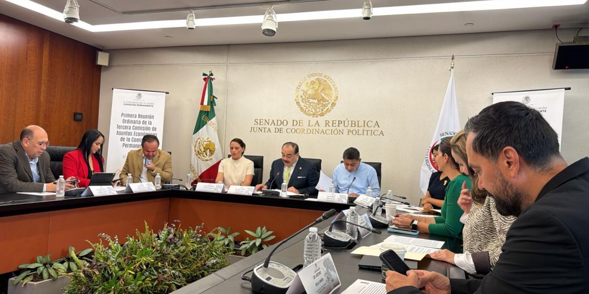 Jennifer Krystel Castillo Madrid expone ante el Congreso ruta para ...