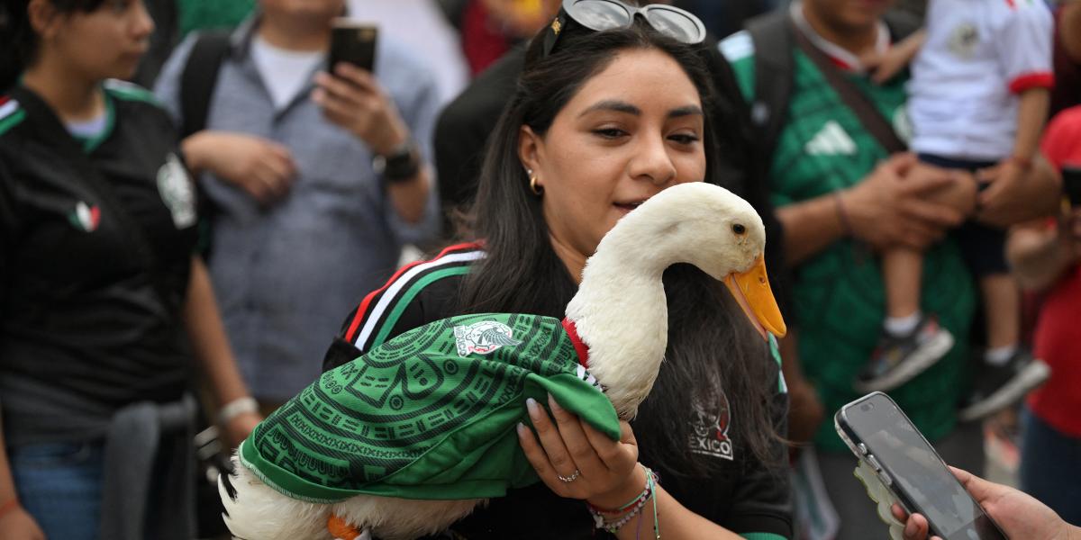 El pato Merlín: De las calles de México a embajador de la FIFA en el ...